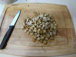 The Foraging Family: Burdock Root--A Satisfying Wild Edible Plant